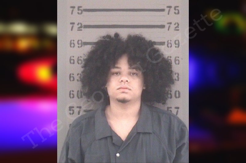 Ivan Ramey — Dougherty County Jail Bookings