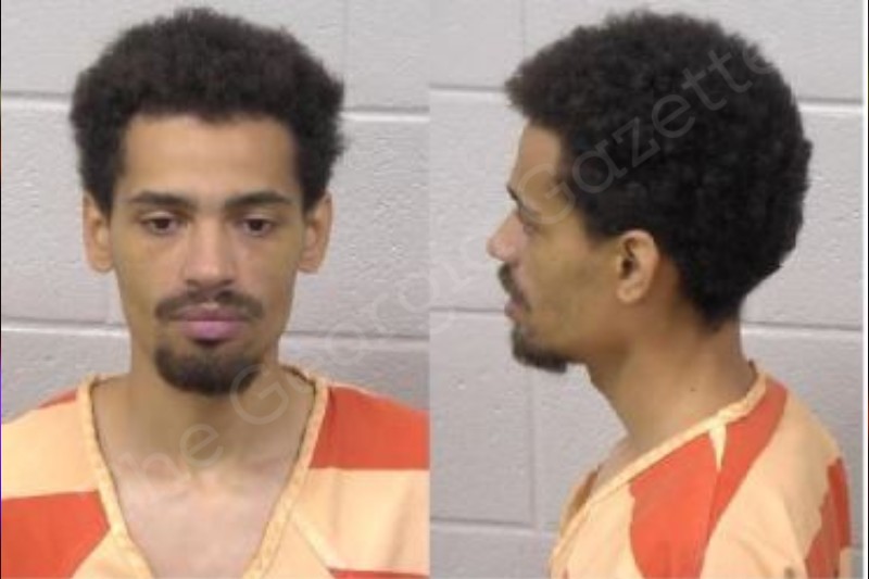 Travis Richardson — Paulding County Jail Bookings