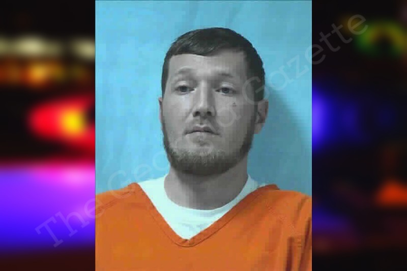 Ashton Rowell — Seminole County Jail Bookings