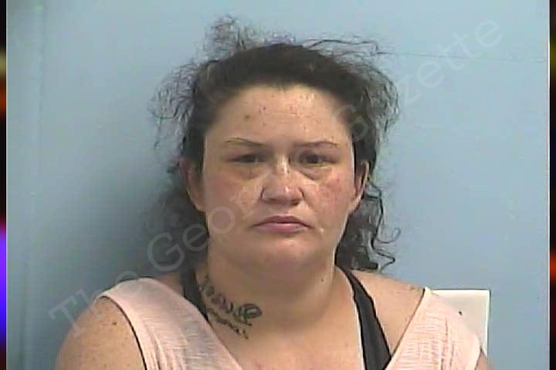 Ashley Rupert — Dawson County Jail Bookings
