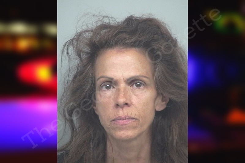 Maria Salvaggio — Gwinnett County Jail Bookings