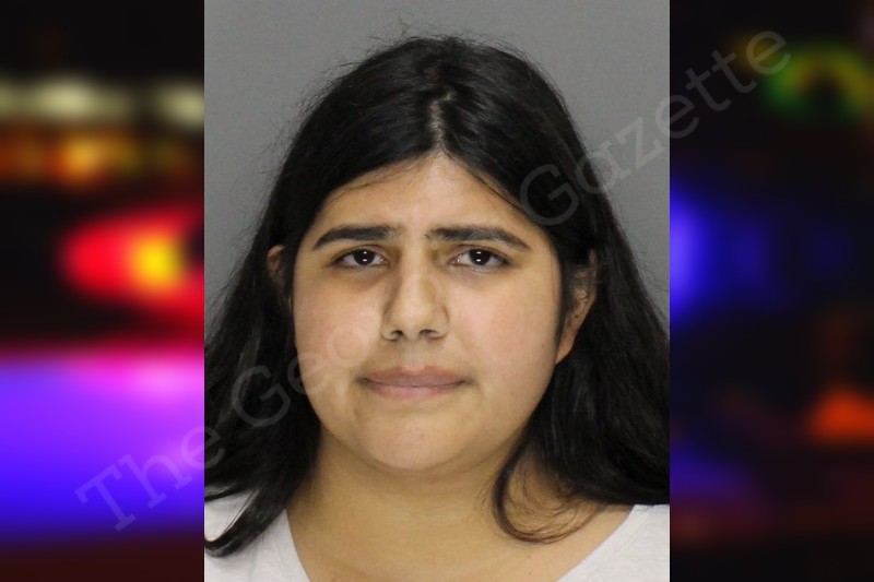 Alexandra Sanchez — Cobb County Jail Bookings