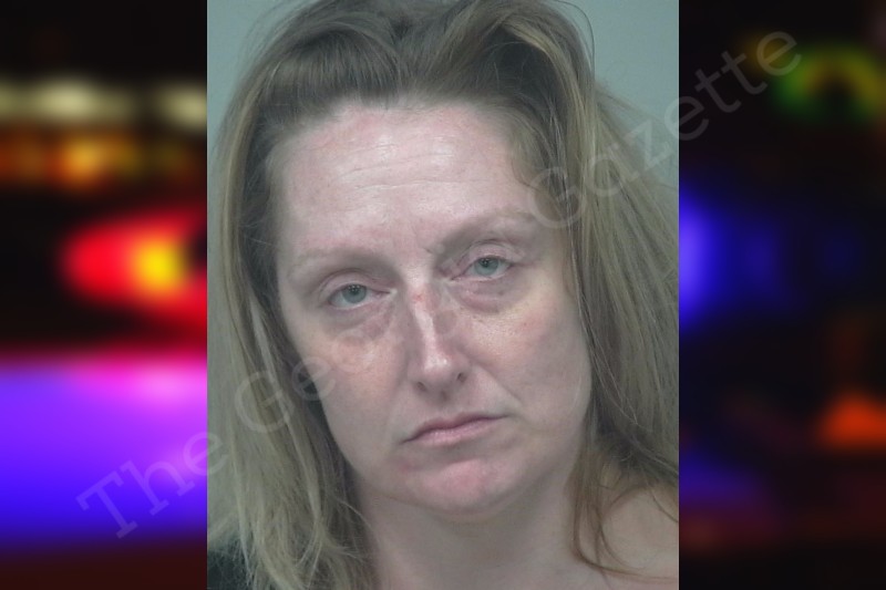 Andrea Simmons — Gwinnett County Jail Bookings