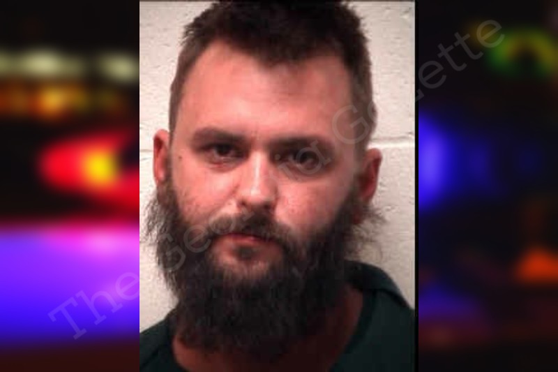 Logan Singleton — Henry County Jail Bookings