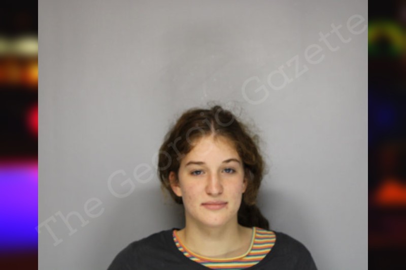 Madison Sosebee — Hall County Jail Bookings