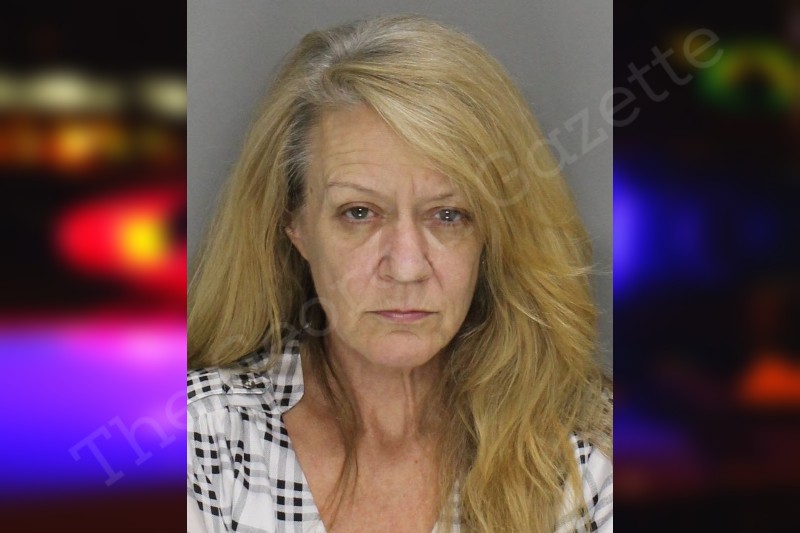 Amy Stover — Cobb County Jail Bookings