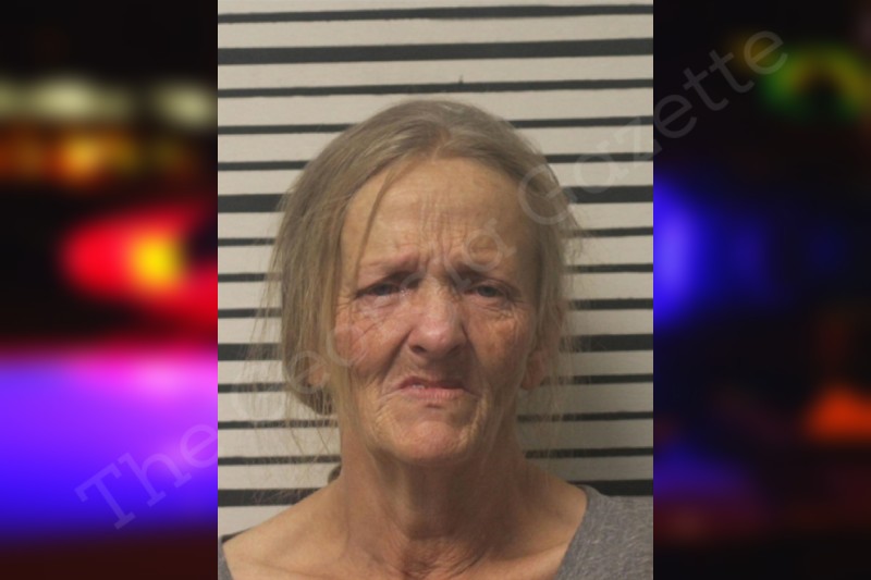 Lisa Street — Toombs County Jail Bookings