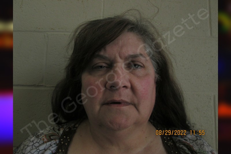 Maria Sanchez — Towns County Jail Bookings