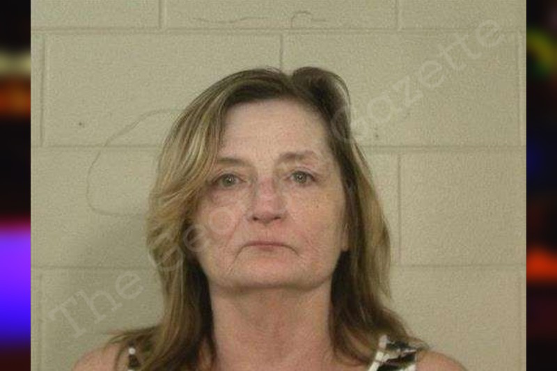 Debbie Sellers — Liberty County Jail Bookings