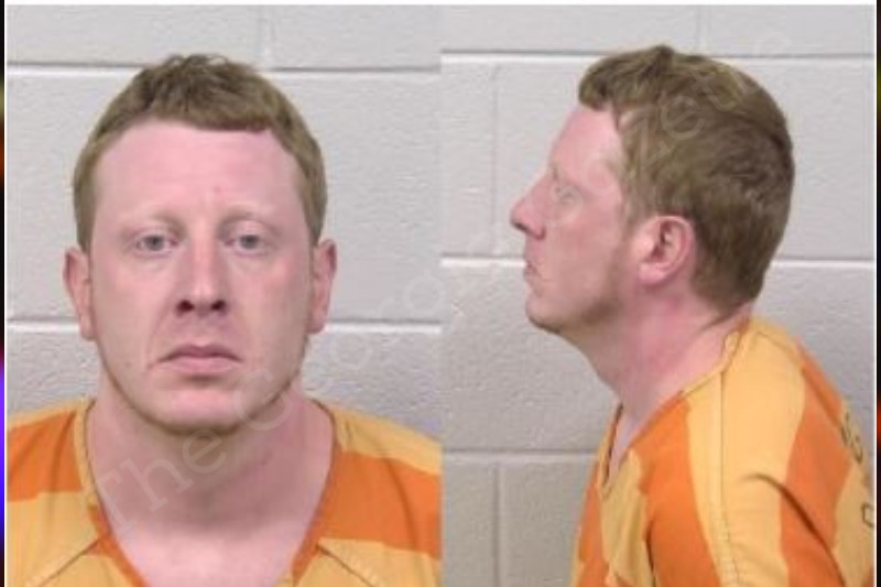 Aaron Shaw — Paulding County Jail Bookings