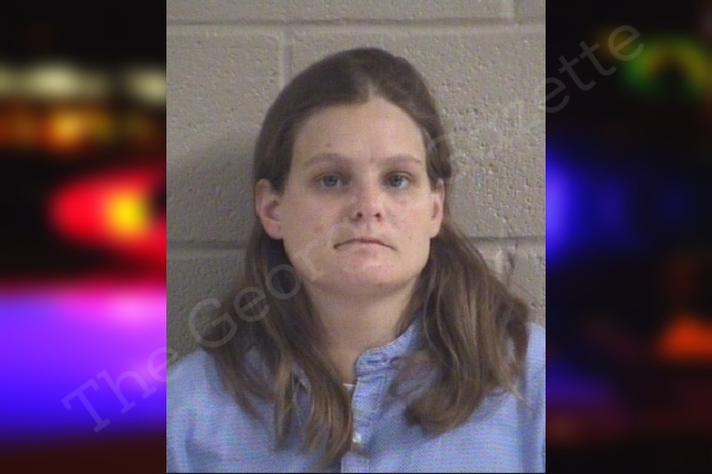 Sheila Patel | Whitfield County