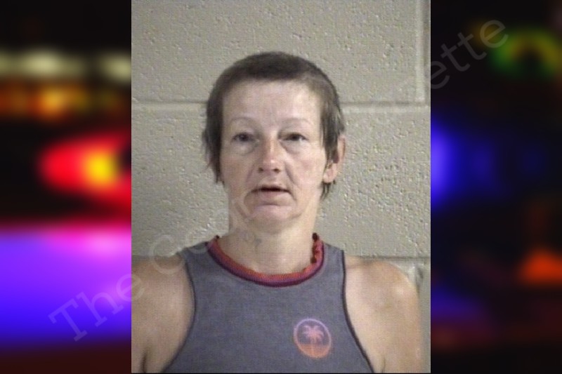 Sherry Wiley — Whitfield County Jail Bookings