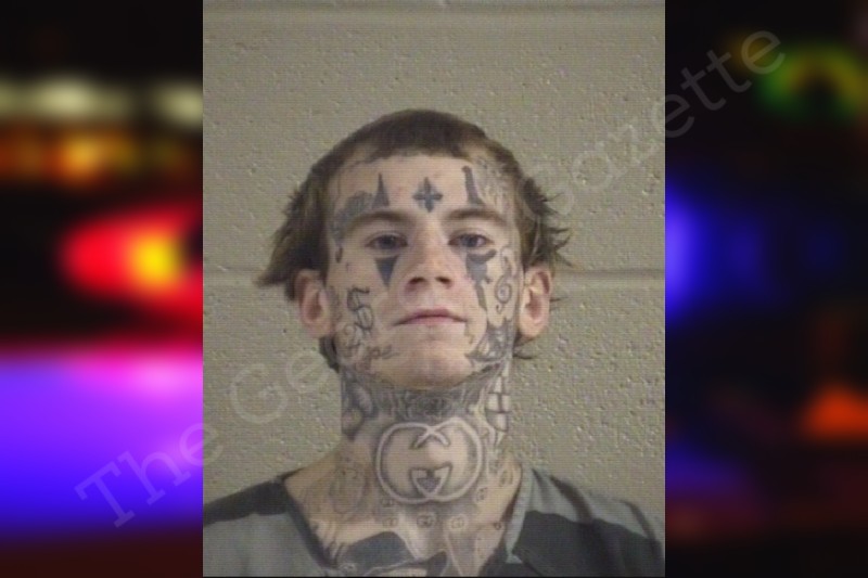 Sidney Croy — Whitfield County Jail Bookings