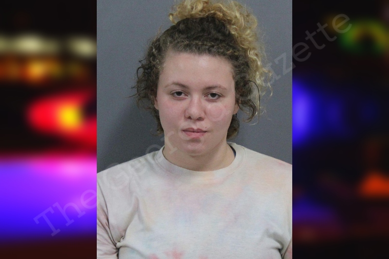 Johnna Silmon — Catoosa County Jail Bookings