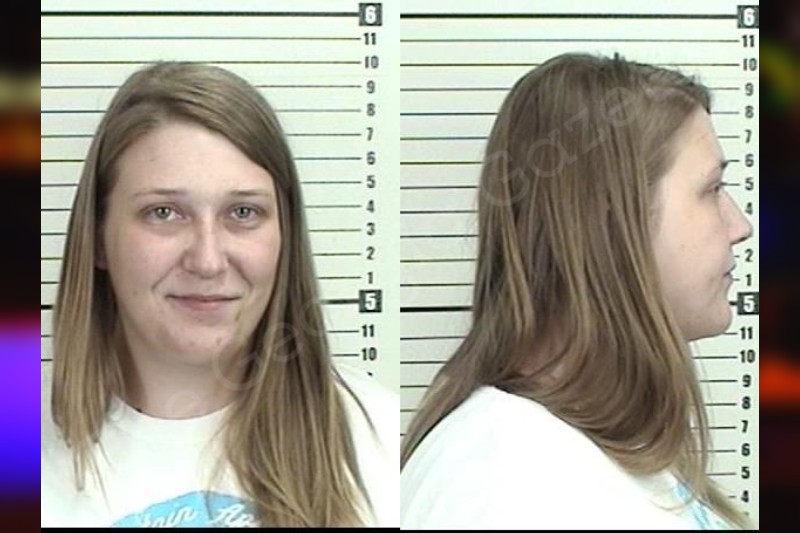 Emily Smith — Camden County Jail Bookings