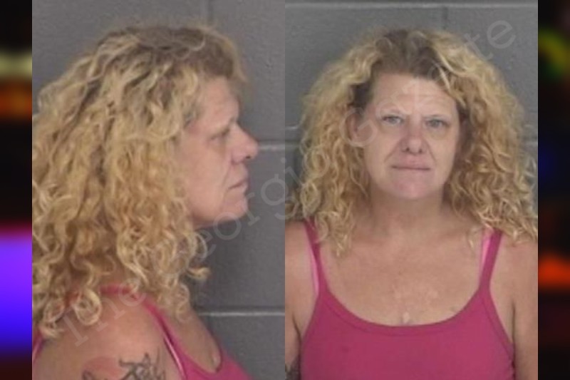 Vickey Smith — Barrow County Jail Bookings
