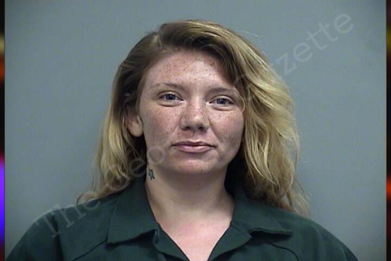 Ally St George — Effingham County Jail Bookings