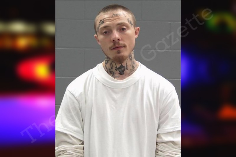 Austin Trease — Baldwin County Jail Bookings