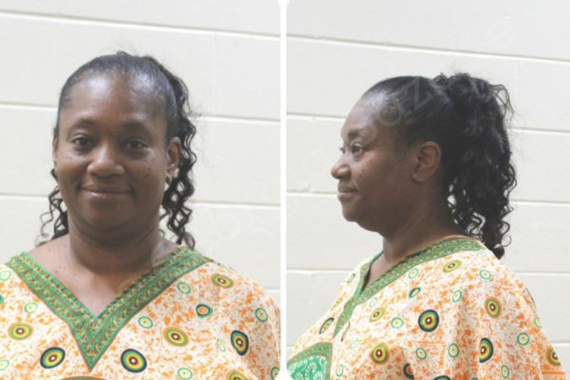 Vernice Thomas — Houston County Jail Bookings