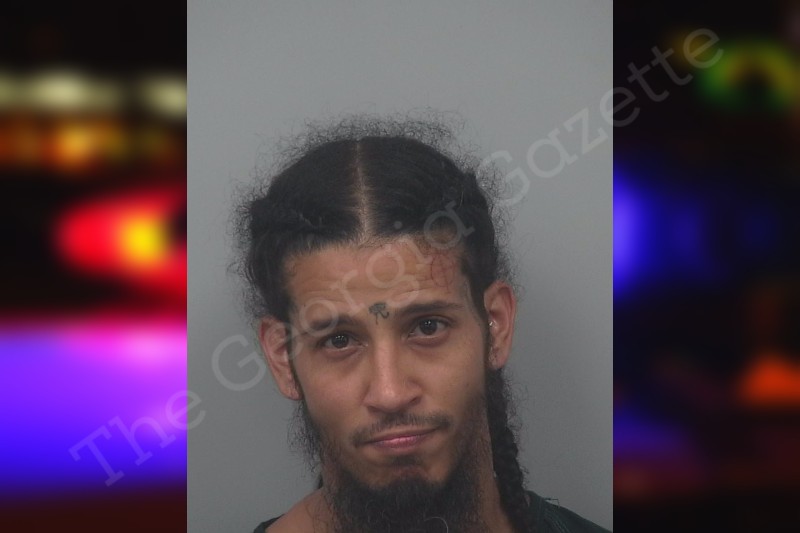 Reinaldo Vazquez — Gwinnett County Jail Bookings