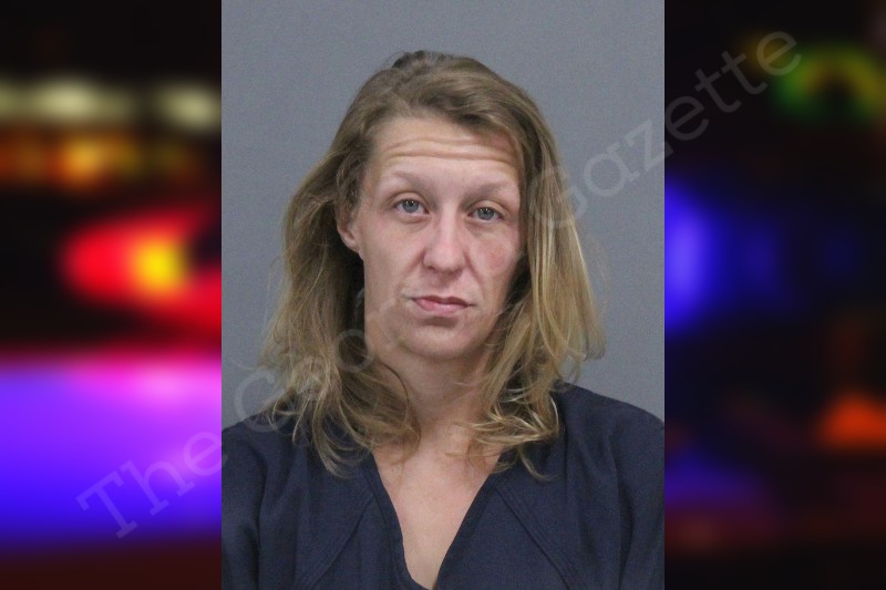 Hannah Van Nice — Catoosa County Jail Bookings