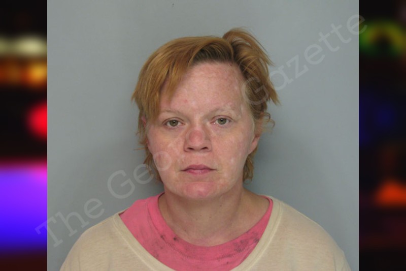 Annette Willis — Hall County Jail Bookings