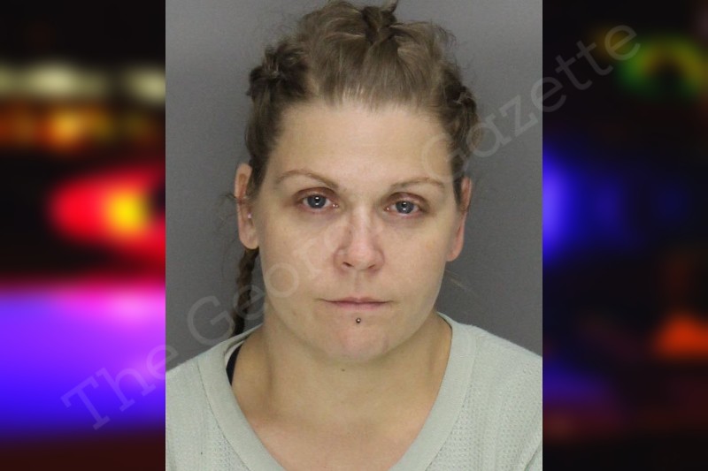 Nichole Windisch — Cobb County Jail Bookings