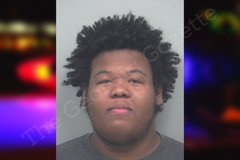 Matthew Wint — Gwinnett County Jail Bookings