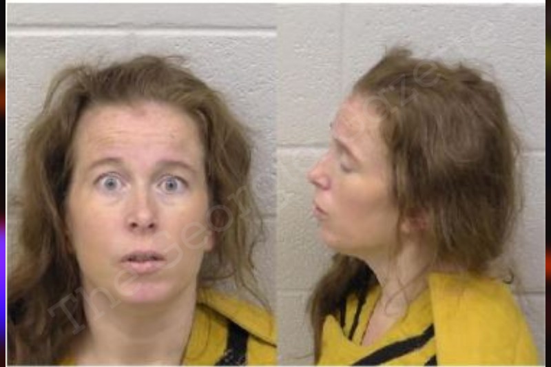 April Wendt — Paulding County Jail Bookings