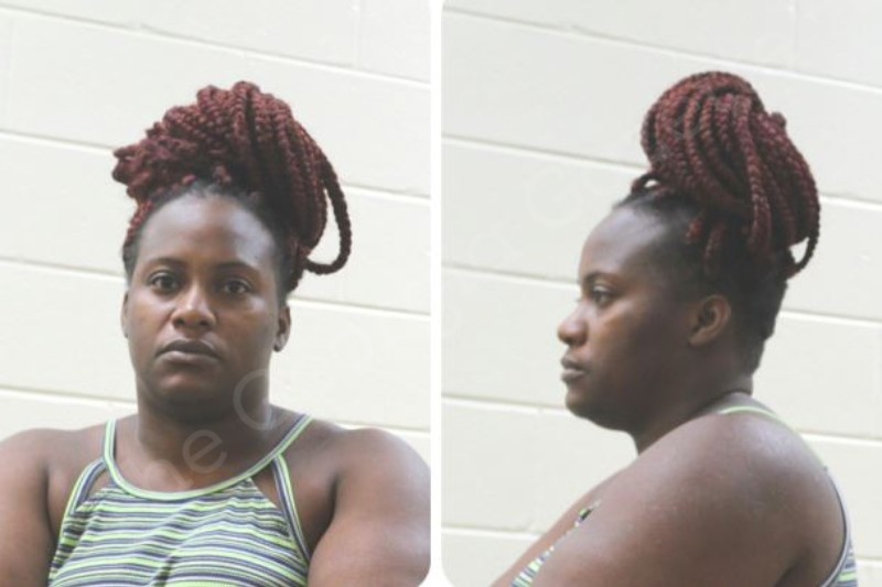 Chiquita Williams — Houston County Jail Bookings