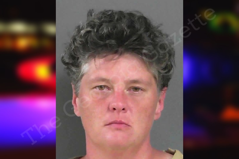 Shanna Williams — Gordon County Jail Bookings