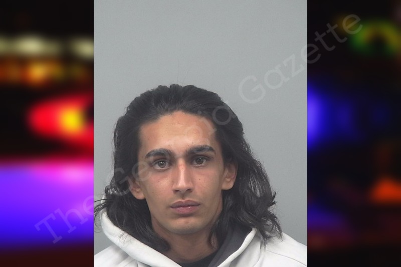 Meesam Abbas — Gwinnett County Jail Bookings