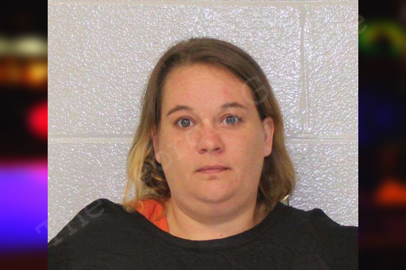 Misty Adams — Carroll County Jail Bookings