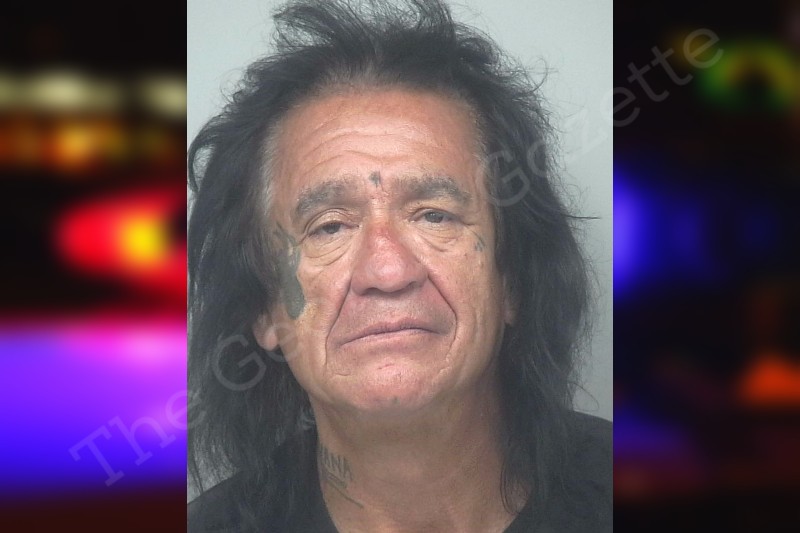 Manuel Alamia — Gwinnett County Jail Bookings