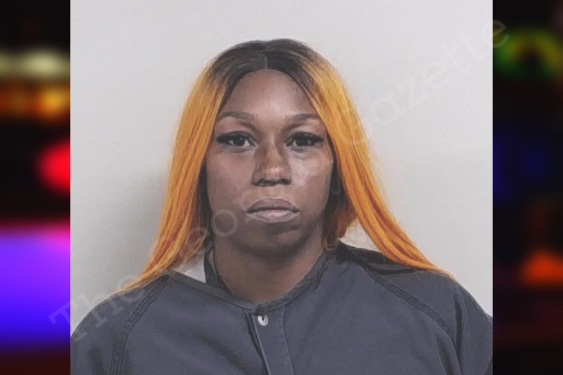 Natasha Alexander — Lowndes County Jail Bookings