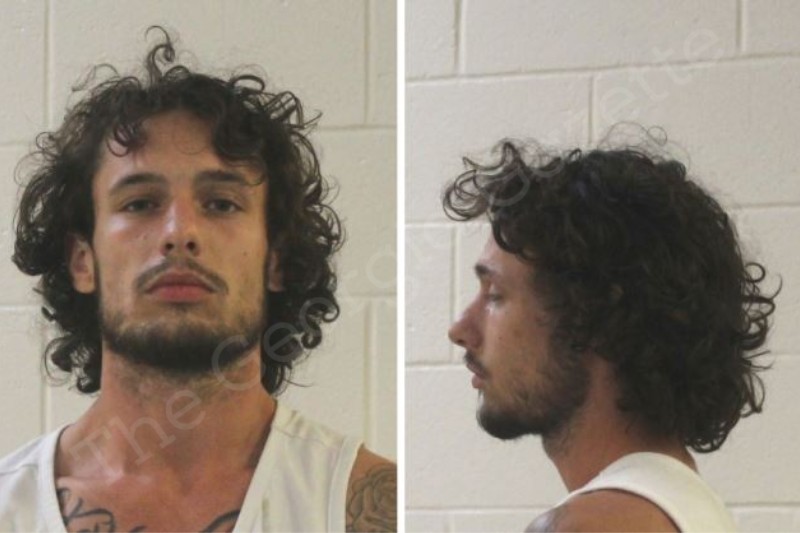 Dustin Alford — Houston County Jail Bookings Dustin Alford — Houston County Jail Bookings