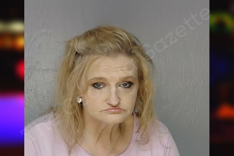 Amy Cummins — Bibb County Jail Bookings