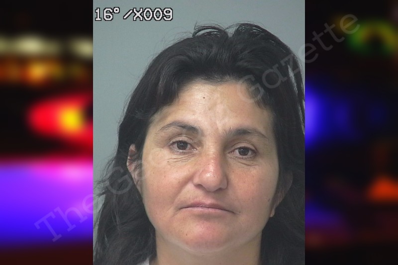 Nicoleta Badea — Gwinnett County Jail Bookings