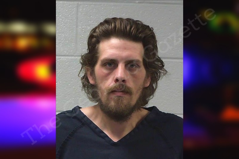 Nickolas Bailey — Gilmer County Jail Bookings