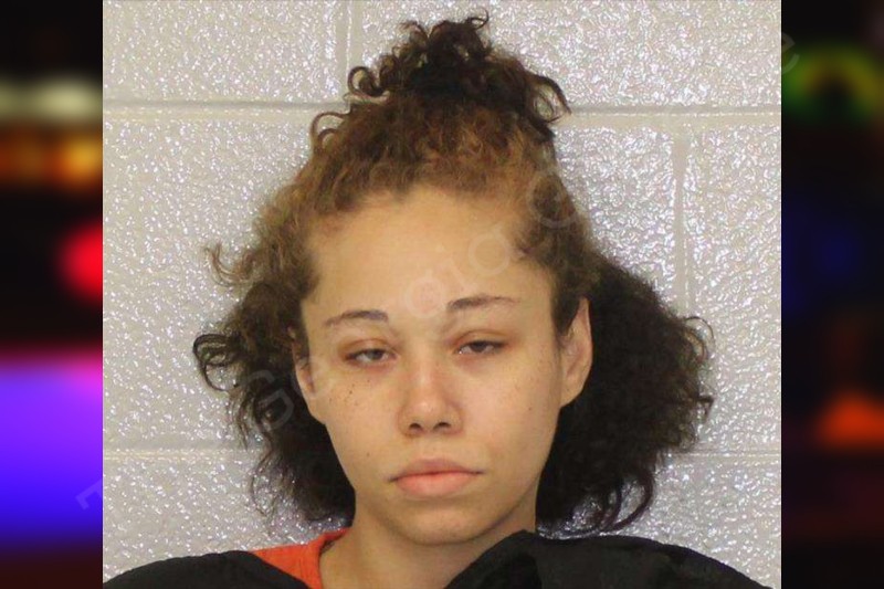 Whitney Bailey — Carroll County Jail Bookings