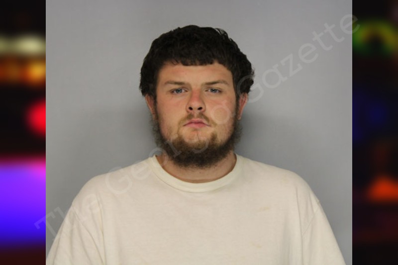 Zachery Batson — Hall County Jail Bookings