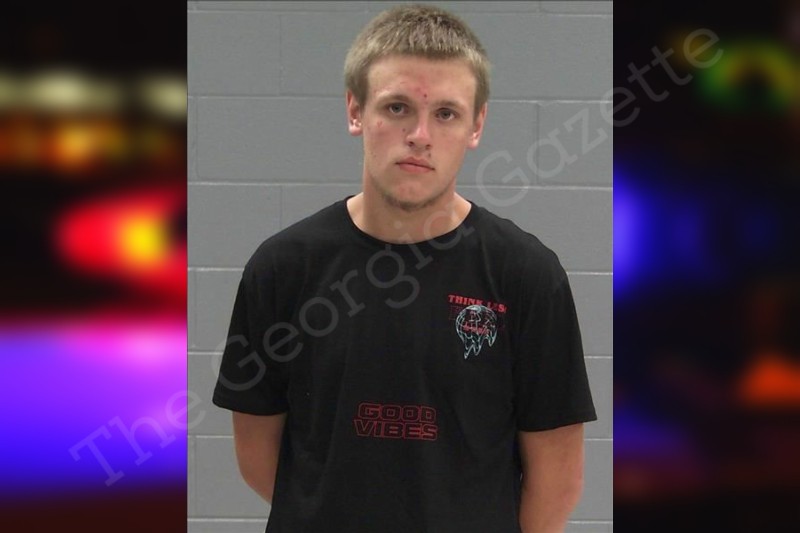 Jeremy Blizard — Baldwin County Jail Bookings