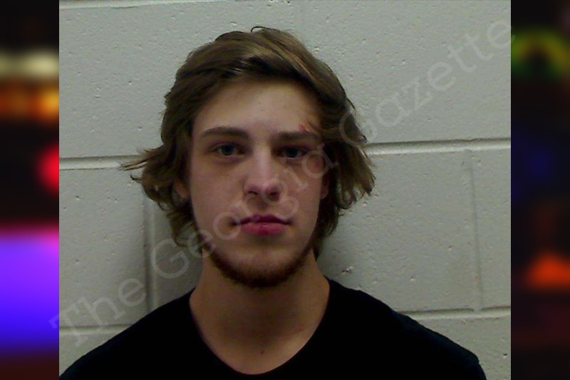 Thomas Boone — Bulloch County Jail Bookings