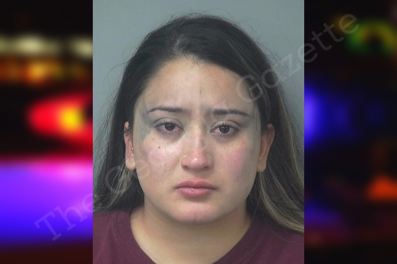 Diana Boyzo — Gwinnett County Jail Bookings