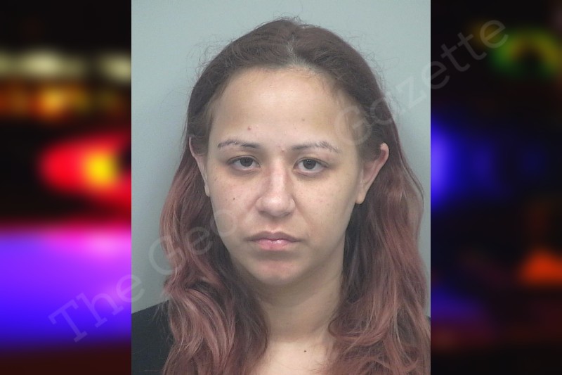 Lisa Bruzzi — Gwinnett County Jail Bookings