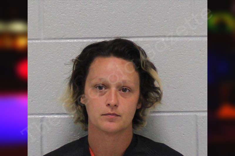 Jennifer Burns — Carroll County Jail Bookings Jennifer Burns — Carroll County Jail Bookings