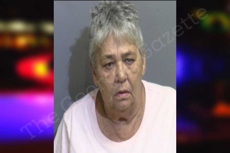 Sandra Beard — Glynn County Jail Bookings