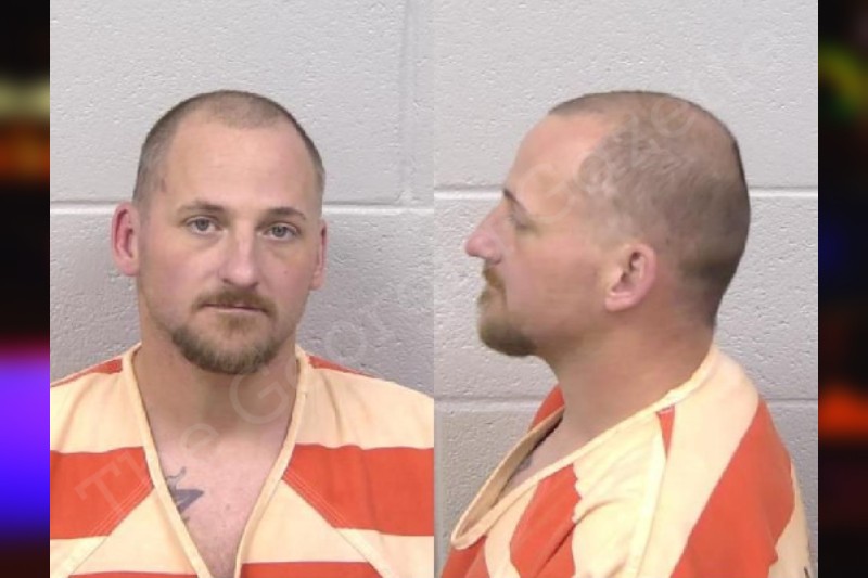 Steven Bressner — Paulding County Jail Bookings