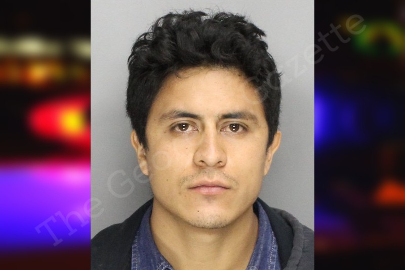 Luis Castillo — Cobb County Jail Bookings