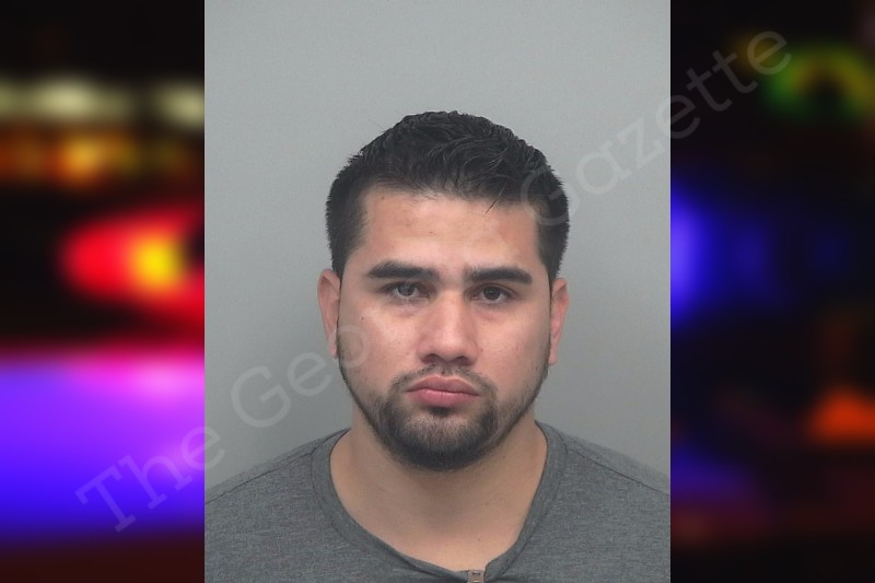 Edgar Castillo Mendoza — Gwinnett County Jail Bookings